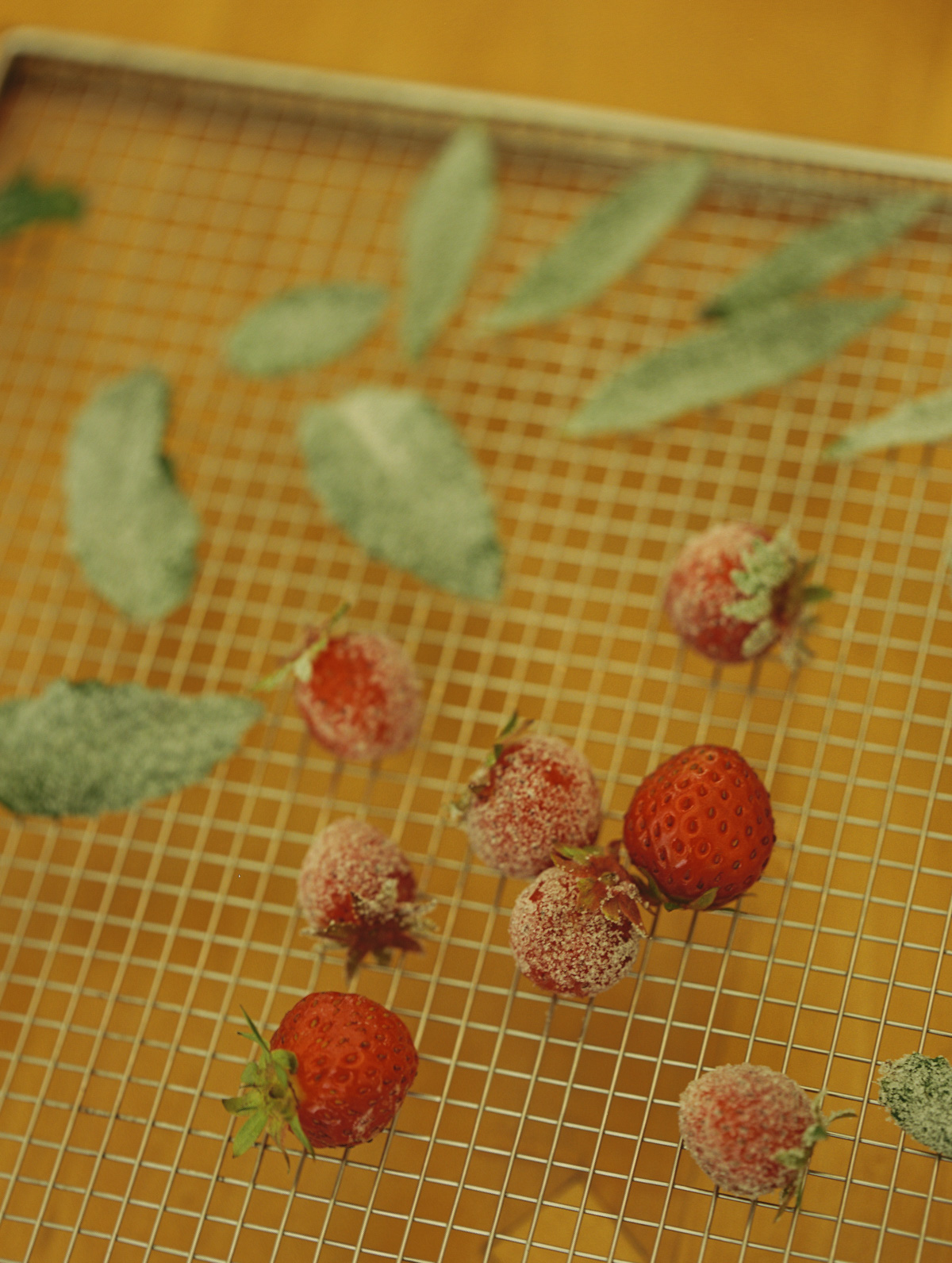 Sonoko Sakai - Faculty Department