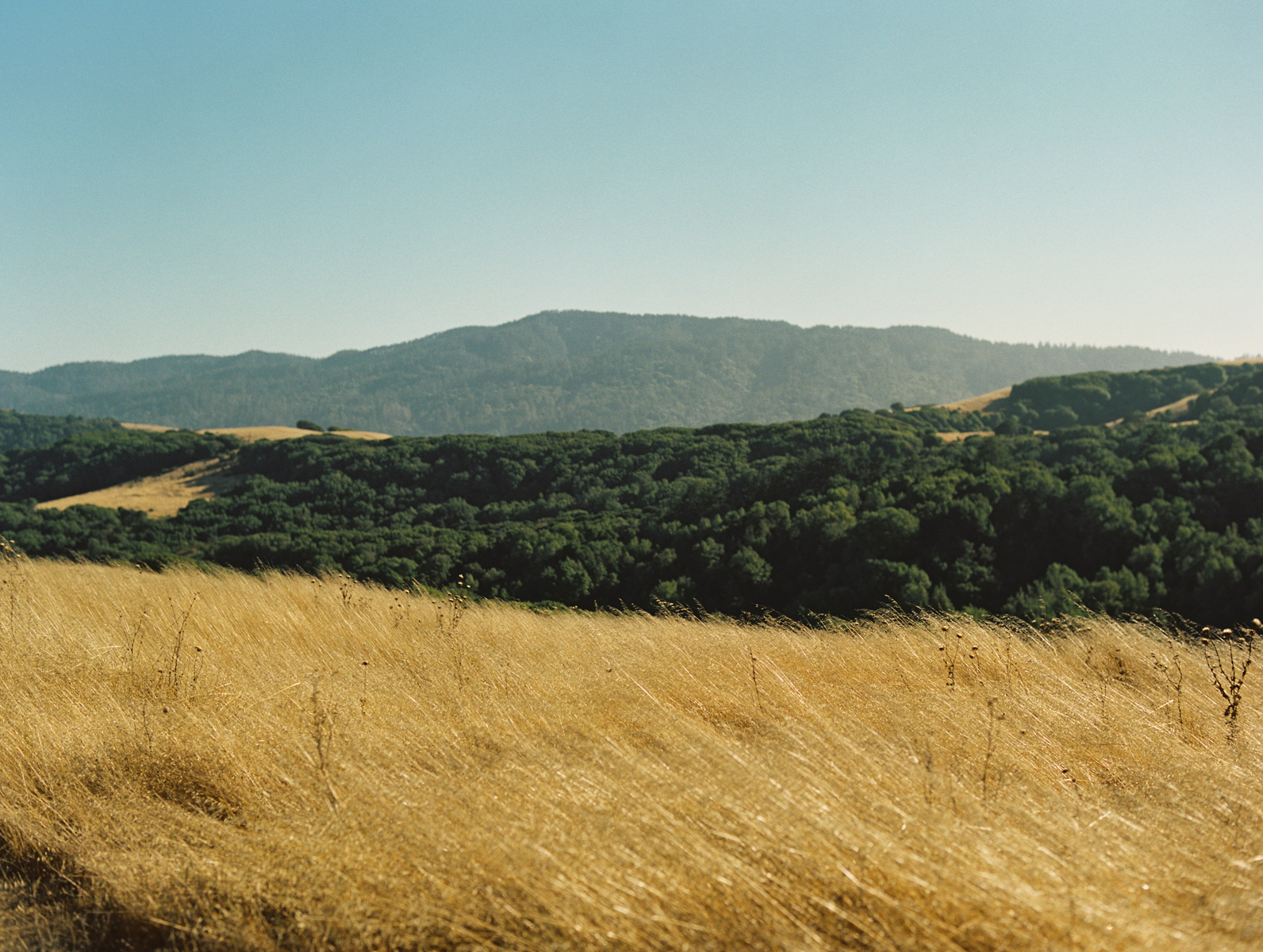Ido Yoshimoto - Faculty Department