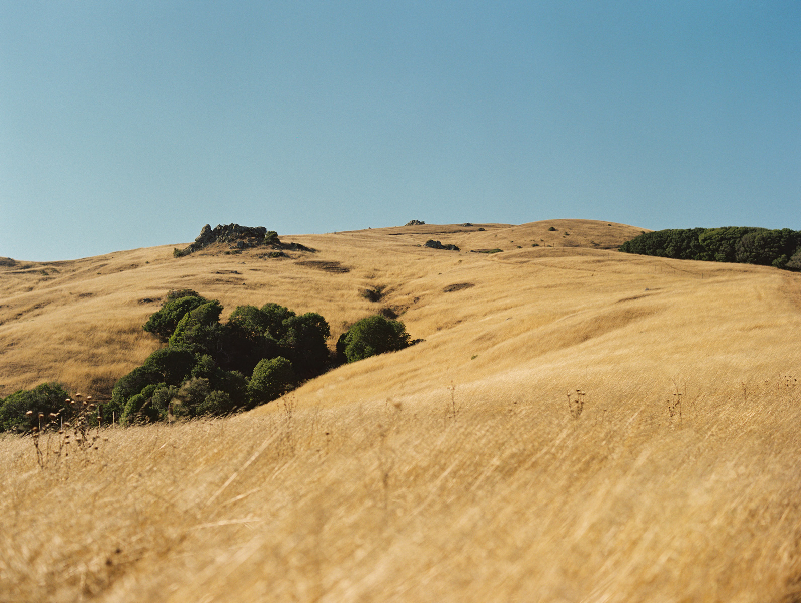 Ido Yoshimoto - Faculty Department